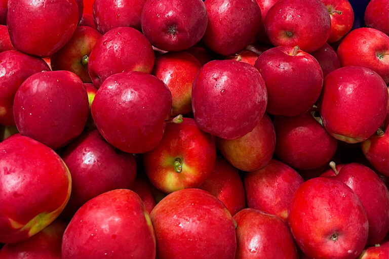 Varieties – Taylor Corp, Hawke's Bay Apples, Orchard, Exporters